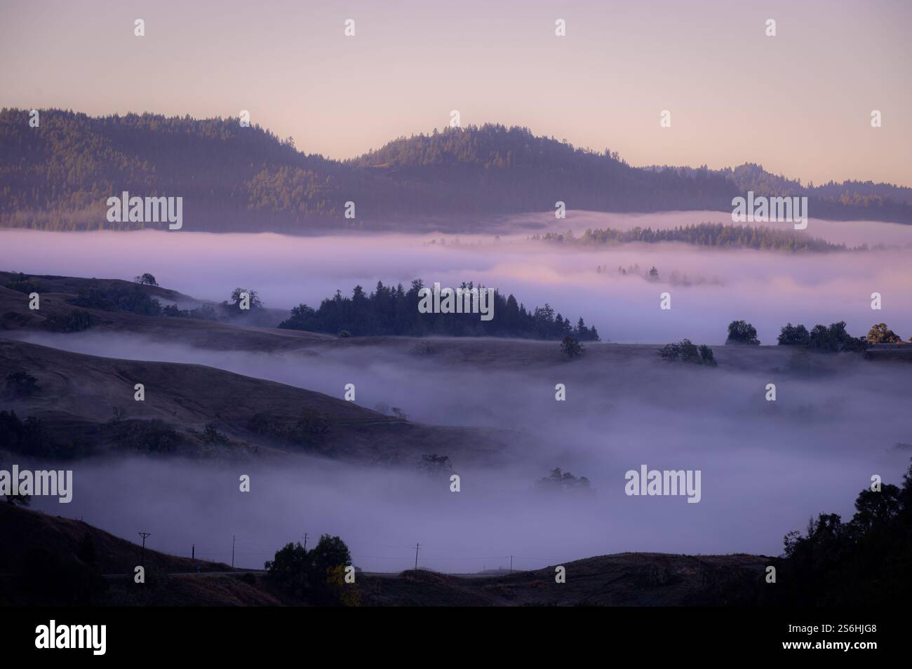 Cool morning hues hi-res stock photography and images - Alamy