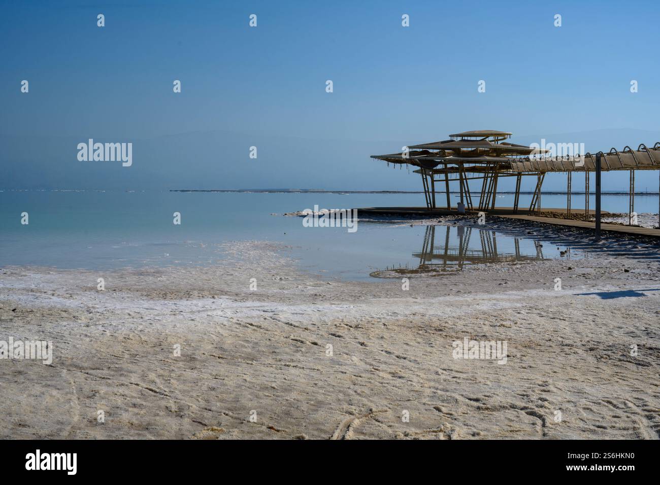 Bathing in the Dead Sea, Ein Bokek, Israel Stock Photo - Alamy