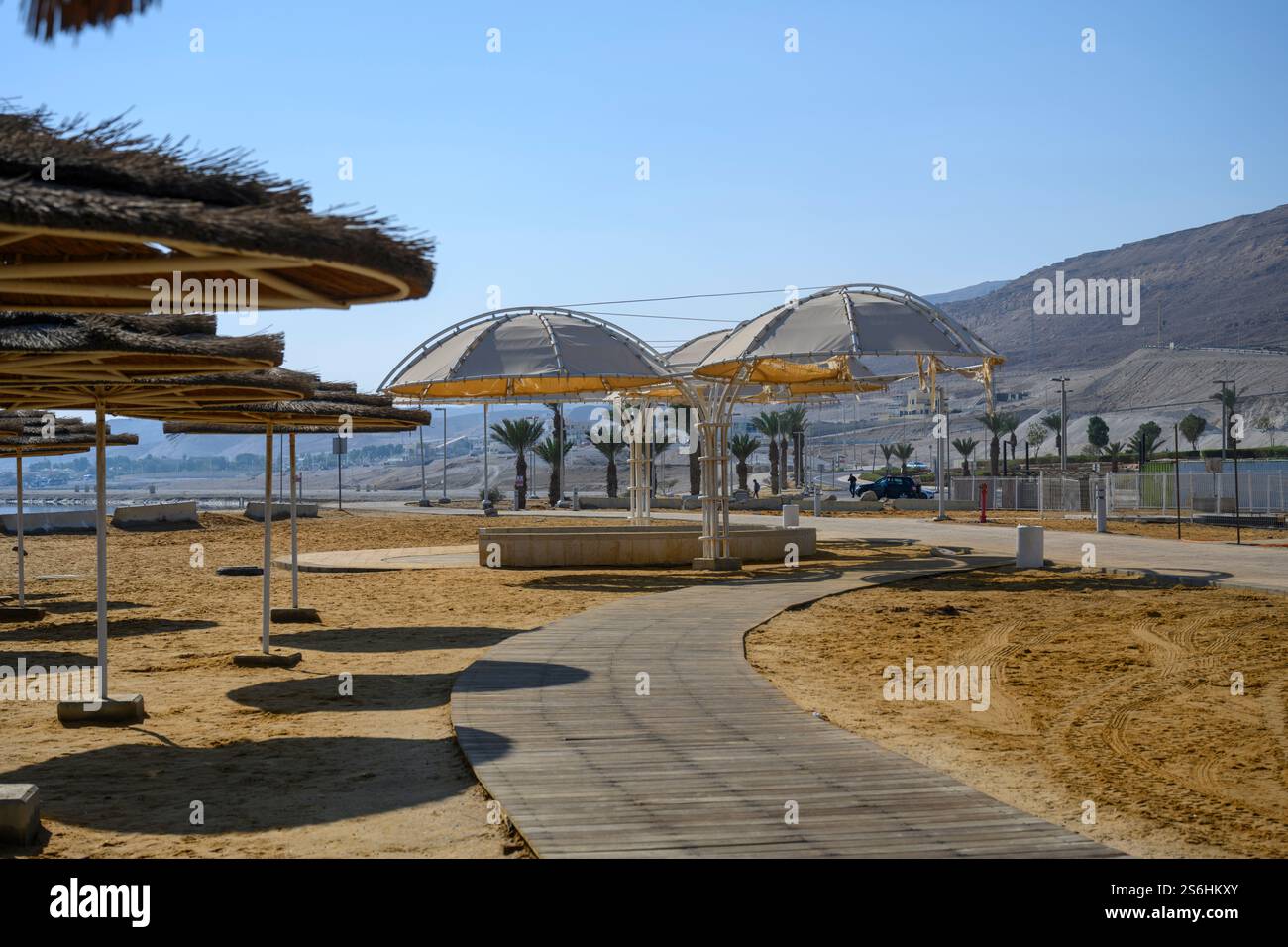 Bathing in the Dead Sea, Ein Bokek, Israel Stock Photo - Alamy