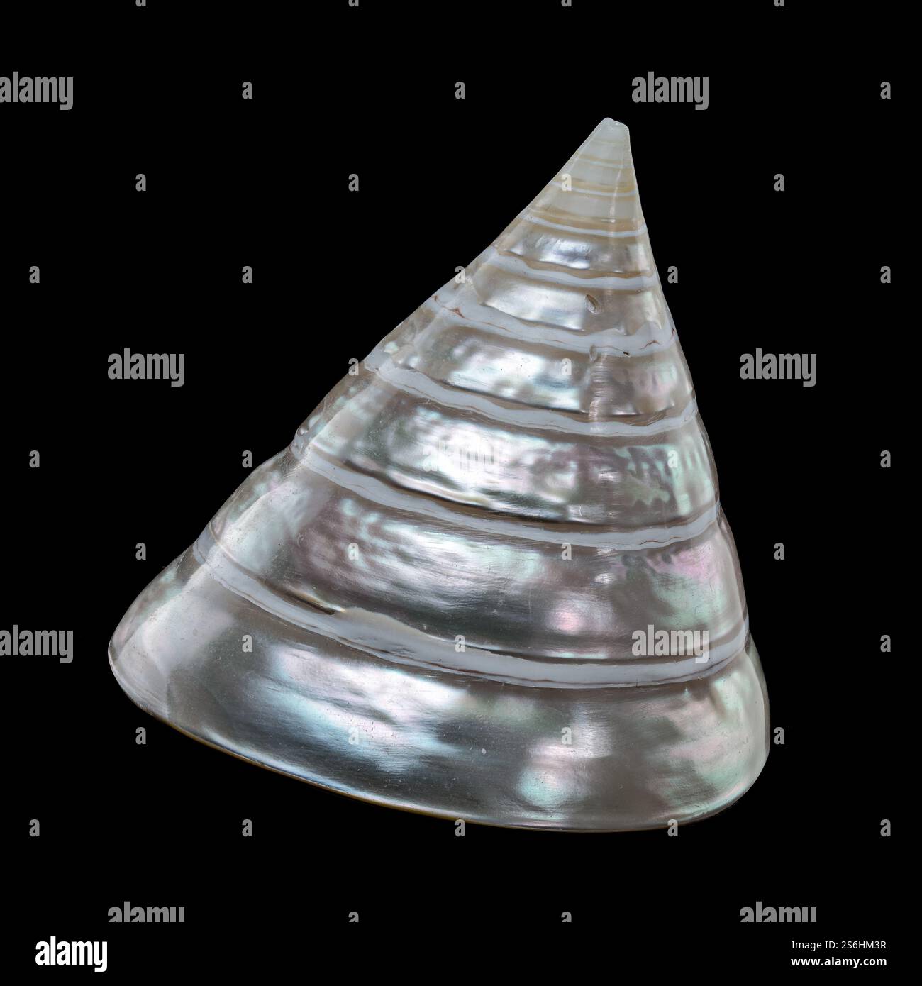 Pearl shell hi-res stock photography and images - Alamy