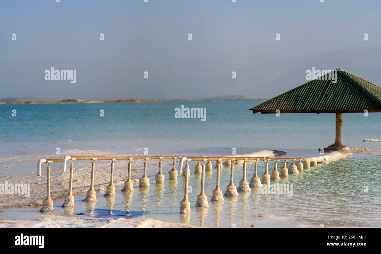 Bathing in the Dead Sea, Ein Bokek, Israel Stock Photo - Alamy