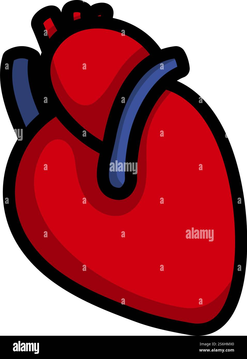 Human Heart Icon. Editable Bold Outline With Color Fill Design. Vector ...