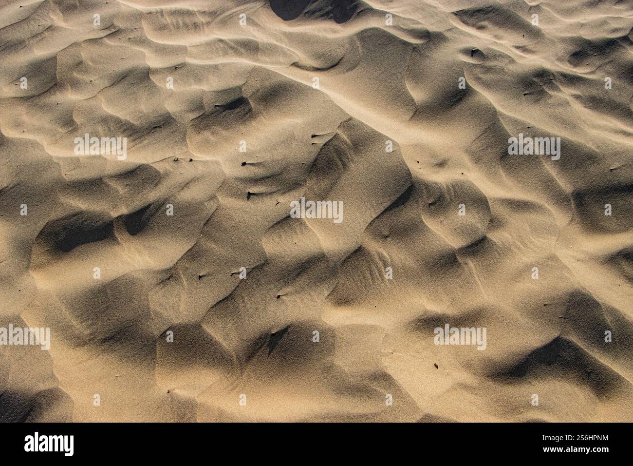 Khuri Sand Dunes is a desert area in the Thar Desert, Rajasthan, India ...