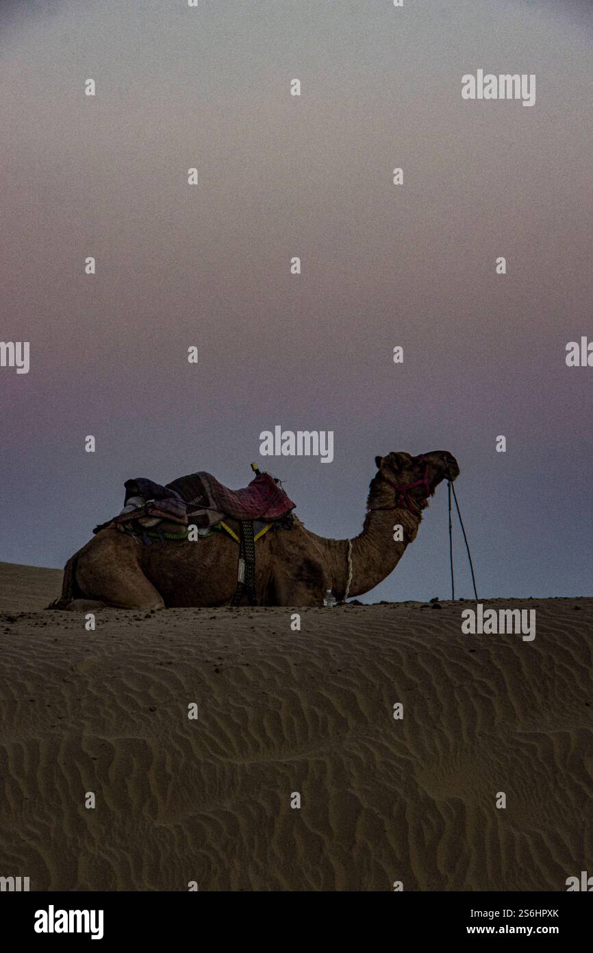 Khuri Sand Dunes is a desert area in the Thar Desert, Rajasthan, India ...