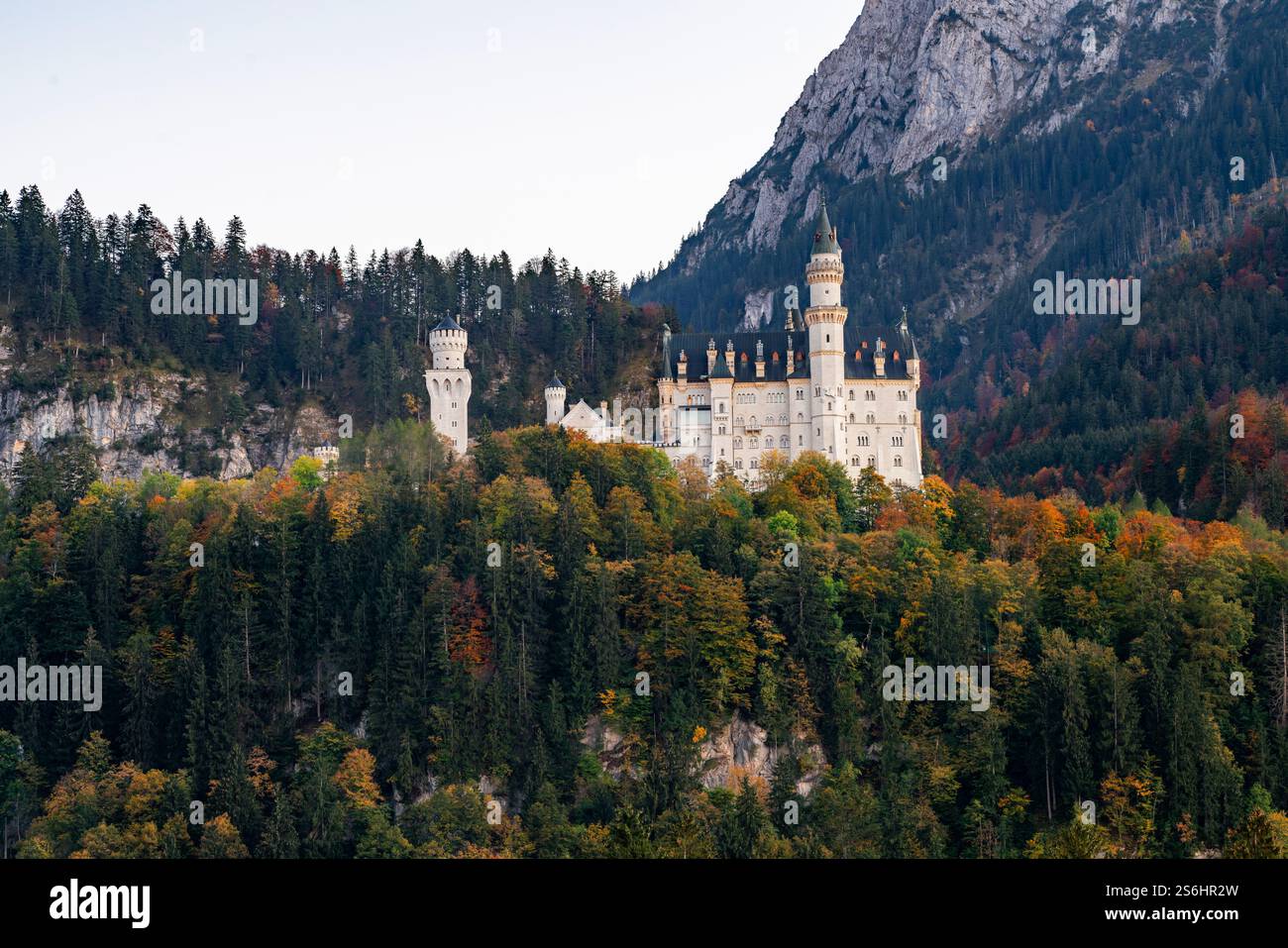 Majestic Neuschwanstein Castle Surrounded by Autumn Forests in Germany ...