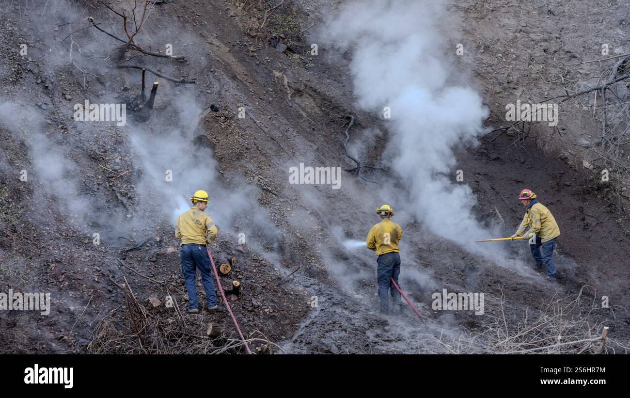 California fire 2025 tree hi-res stock photography and images - Alamy