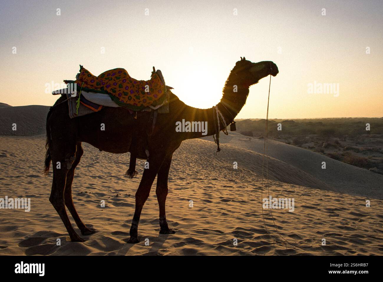 Khuri Sand Dunes is a desert area in the Thar Desert, Rajasthan, India ...