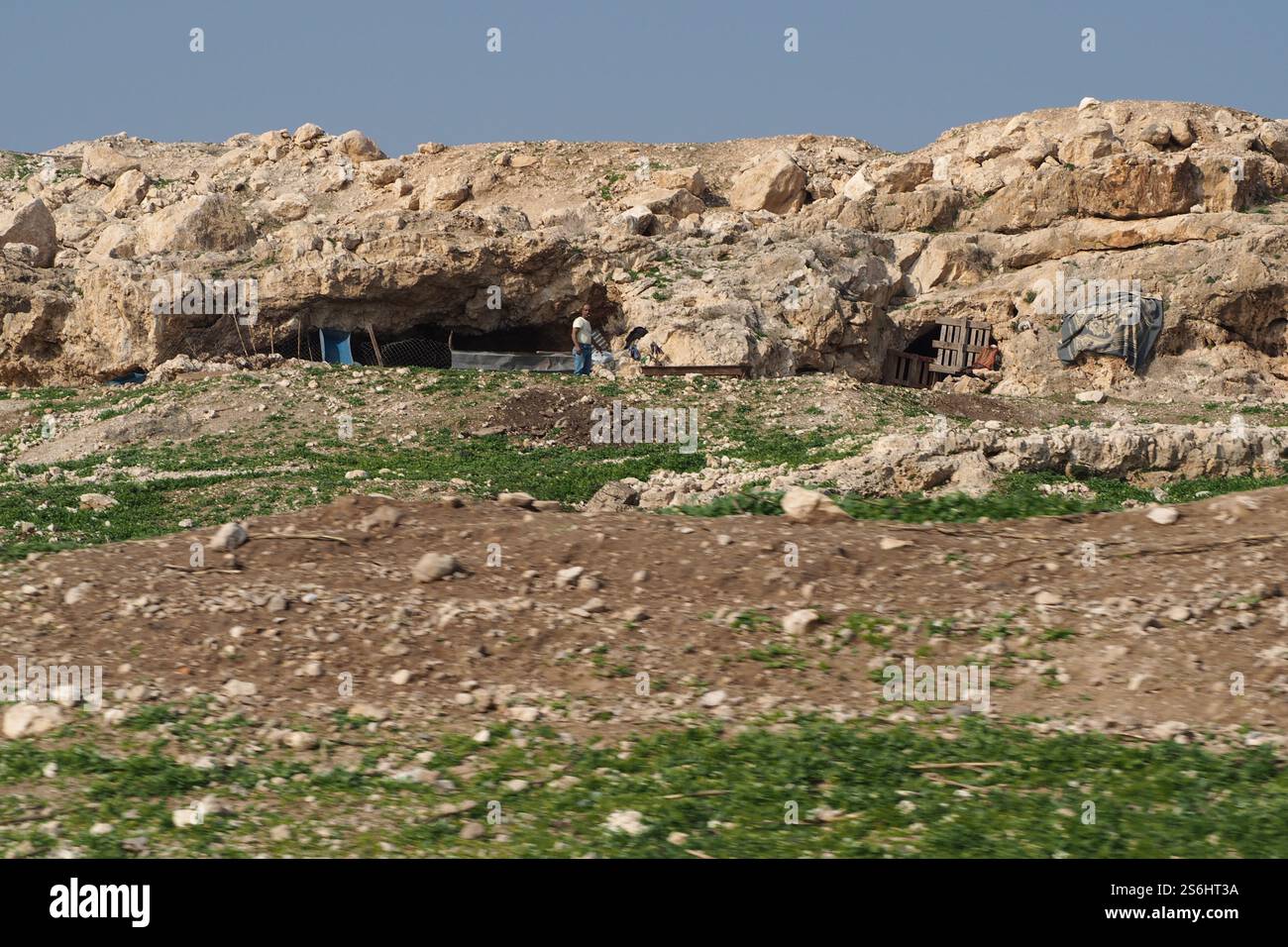 Bedouins shepherds living in natural caves, Judaea Desert, West Bank ...