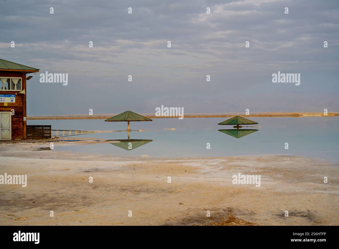 Bathing in the Dead Sea, Ein Bokek, Israel Stock Photo - Alamy