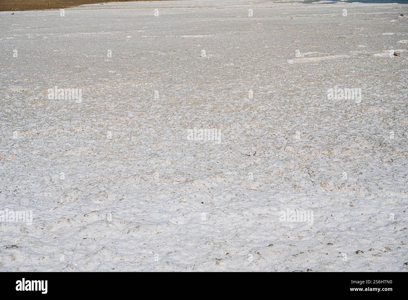 Salt flats - the salt deposits are caused by water evaporation and the ...