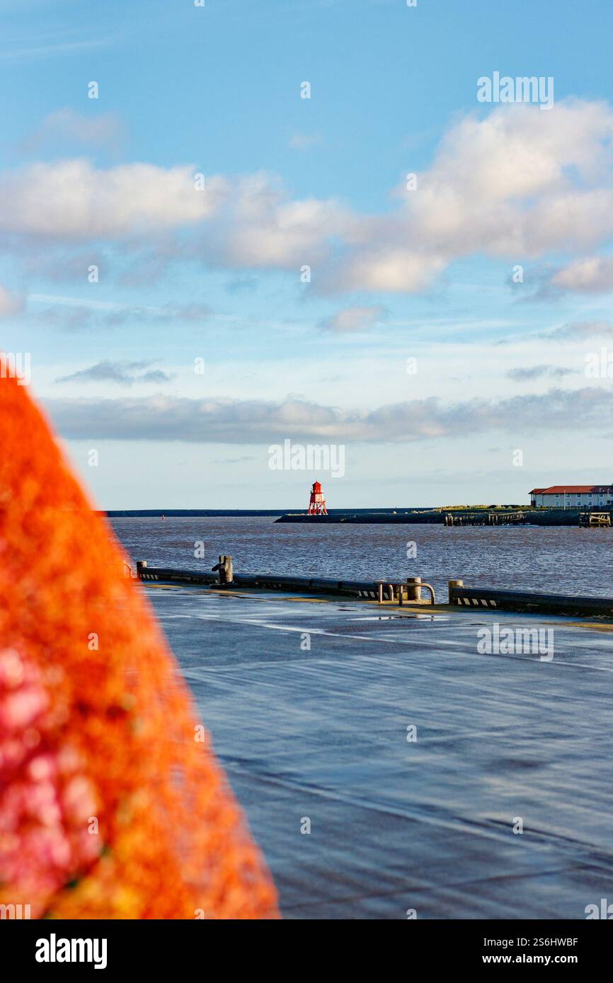 Herd Groyne Lighthouse on horizon and nets fish quay union quay ...