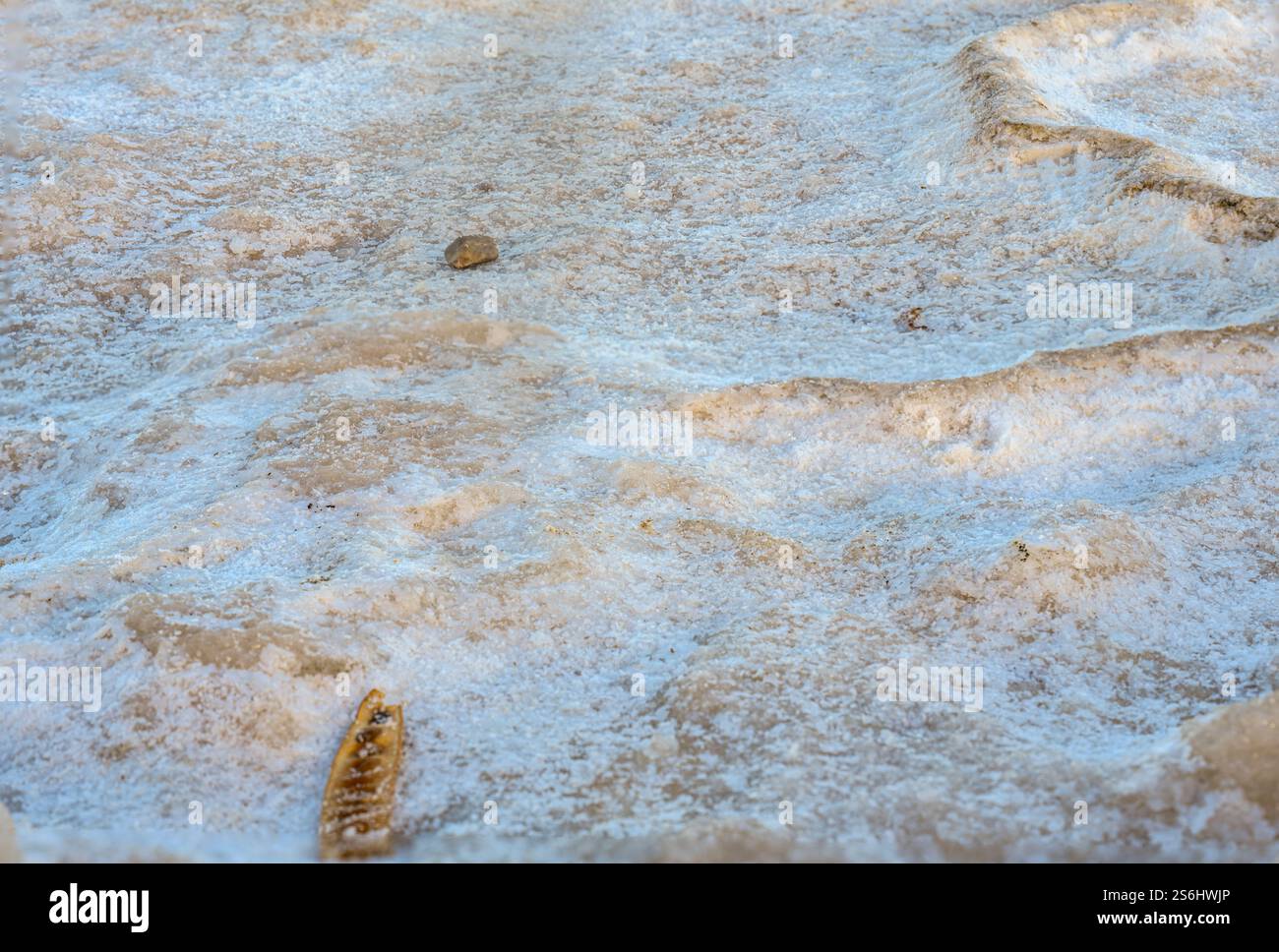 Salt flats - the salt deposits are caused by water evaporation and the ...