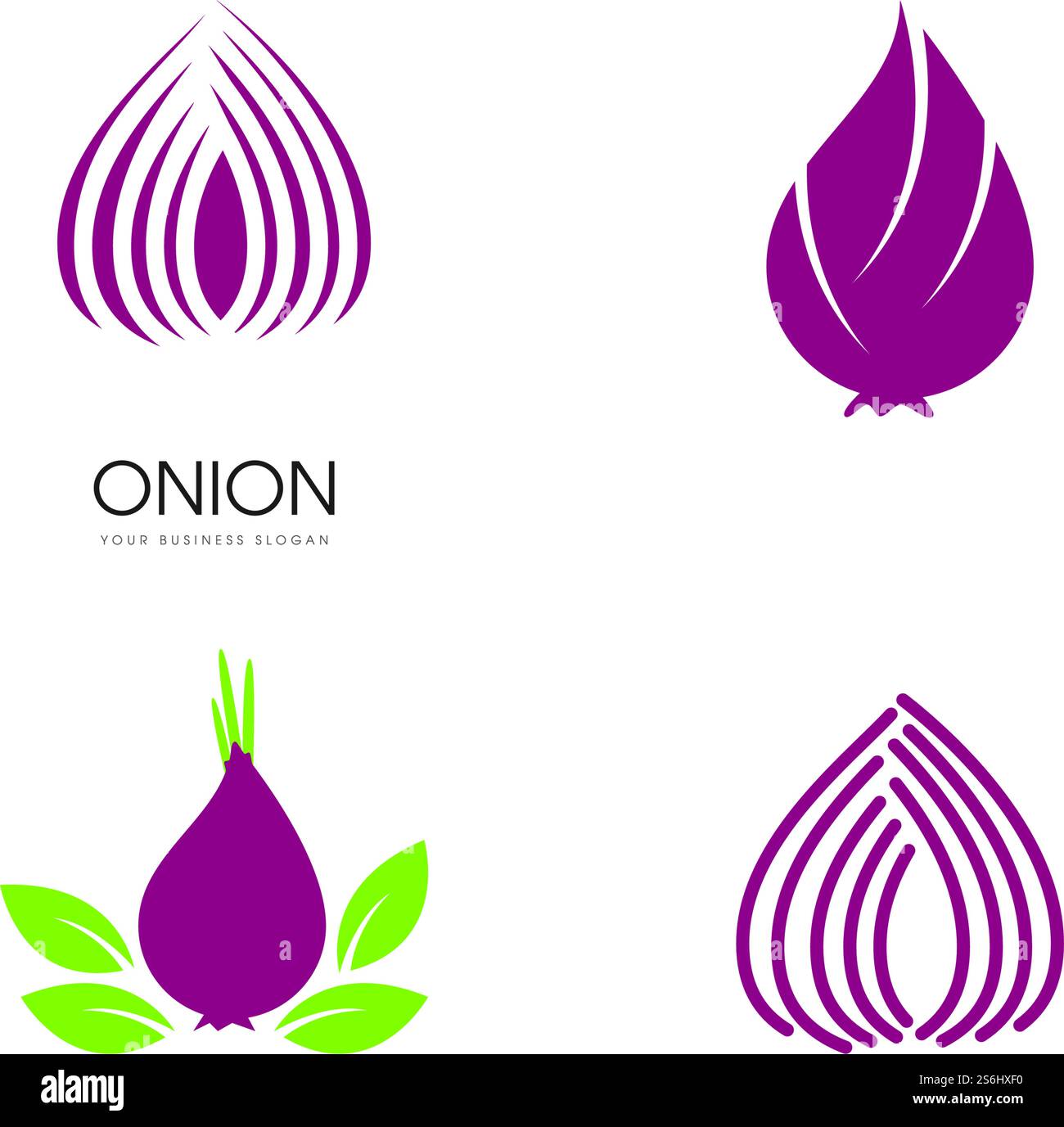 Onion on white background vector design Stock Vector Image & Art - Alamy