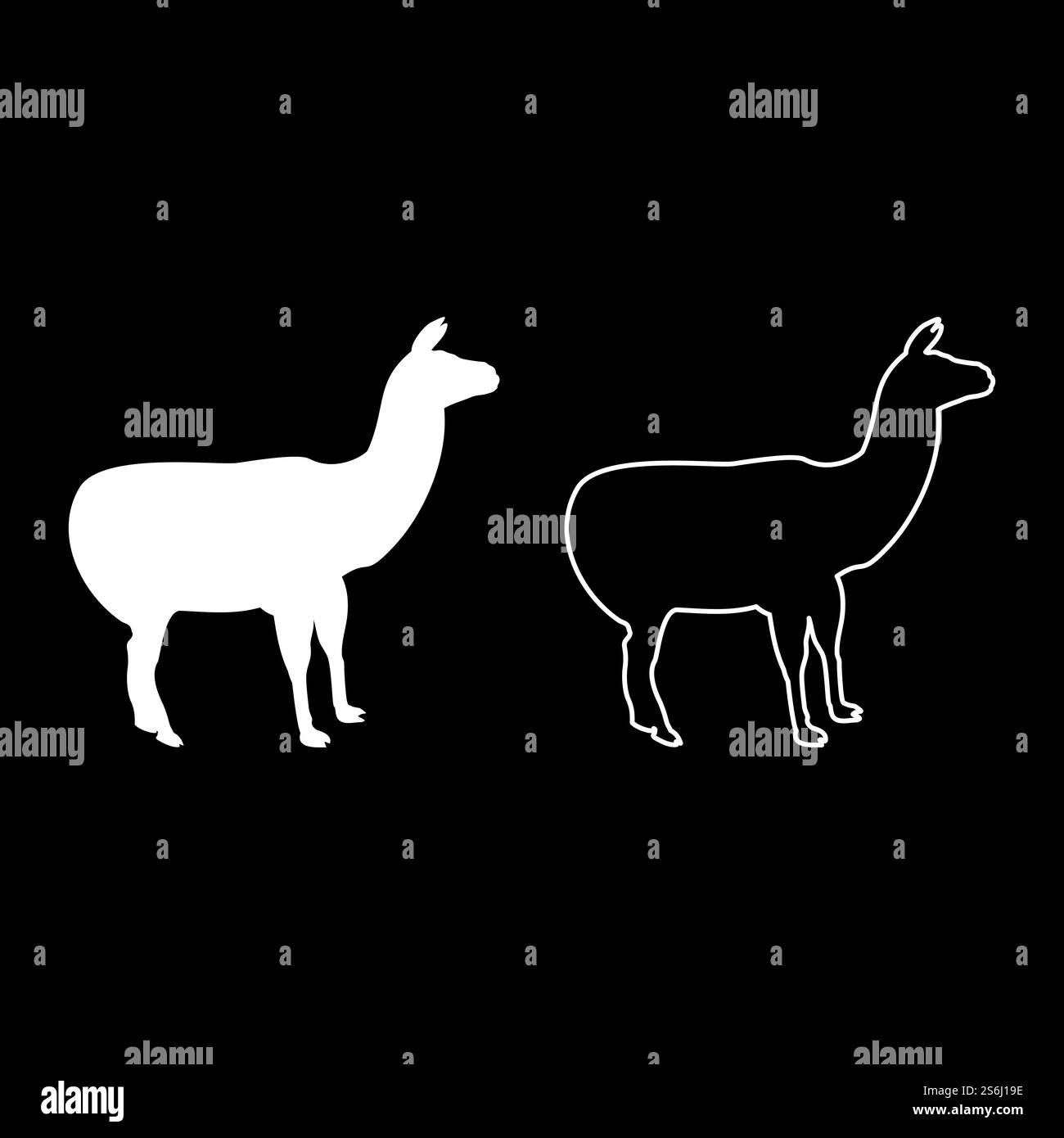 Alpaca Llama Lama Guanaco silhouette white color vector illustration ...