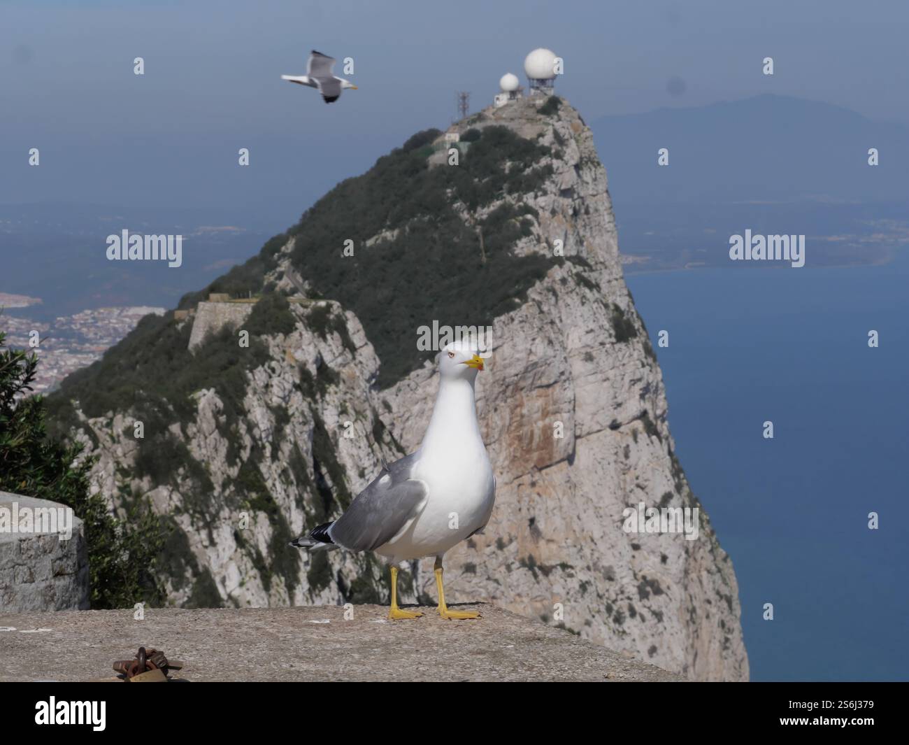 Radio facilities and radar anales on the rock of Gibraltar Stock Photo ...