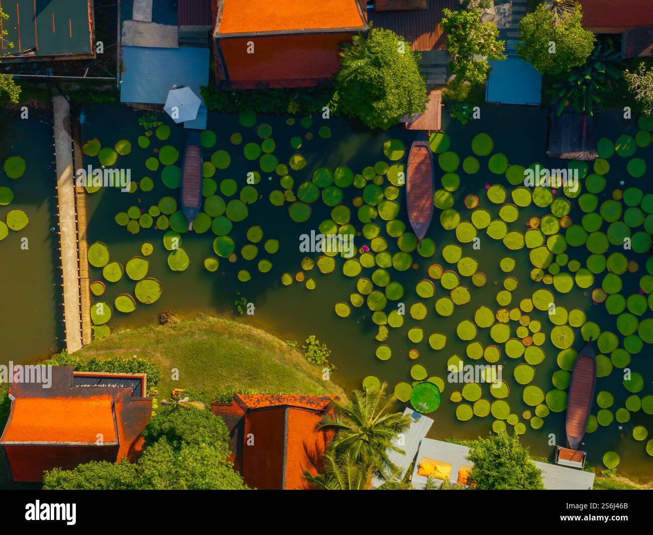 Aerial View of Lotus Pond and Thai Style Buildings in Thailand Stock ...
