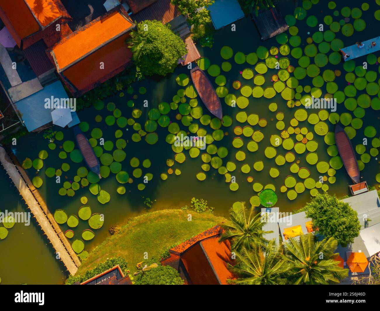 Aerial View of Lotus Pond and Traditional Thai Architecture in Thailand ...