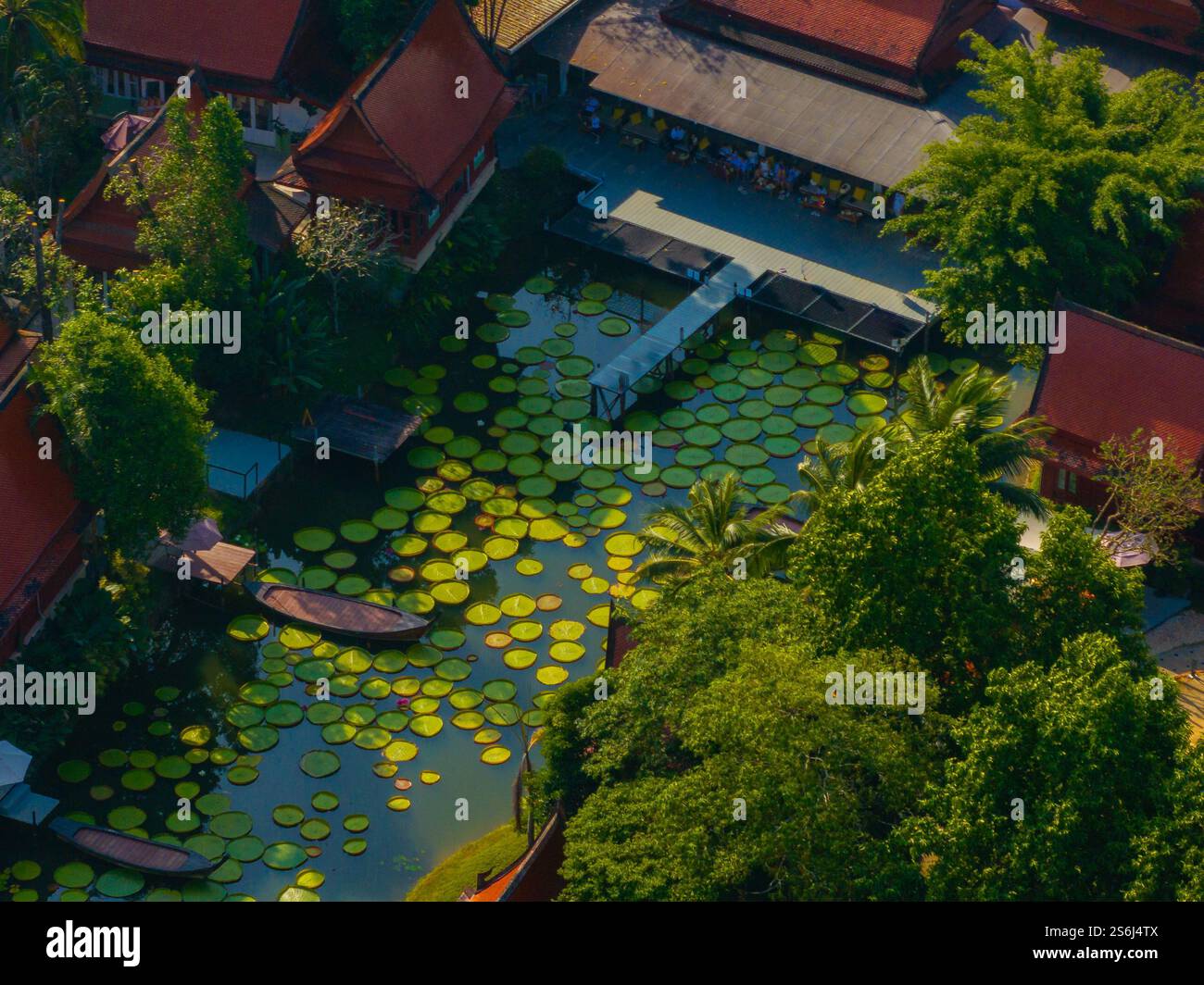 Aerial View of Lotus Pond and Thai Style Buildings in Phuket, Thailand ...