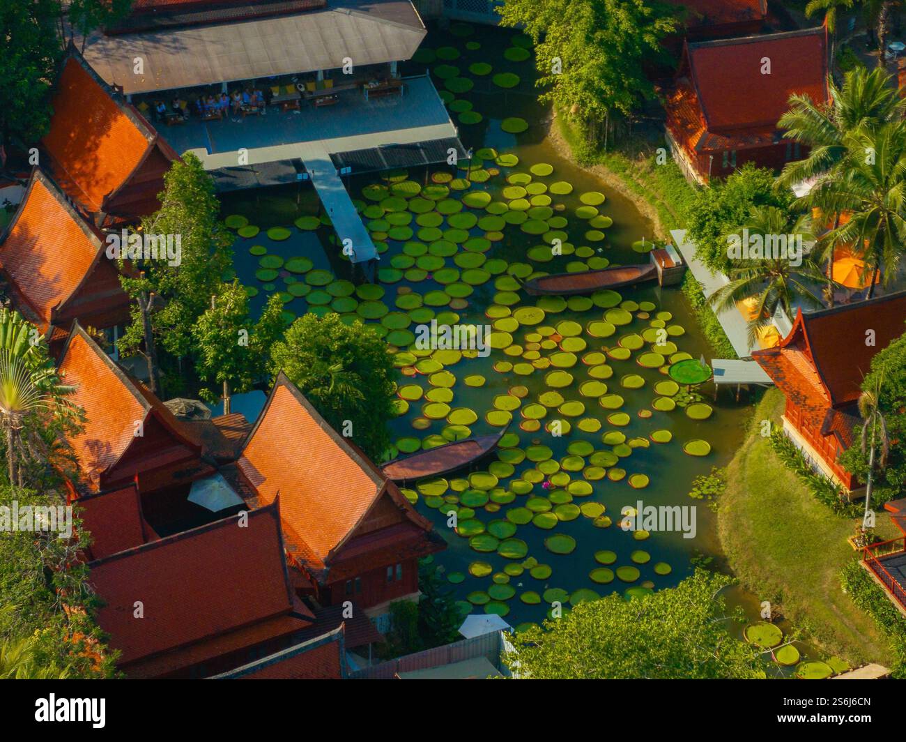 Aerial View of Lotus Pond and Thai Architecture in Phuket, Thailand ...
