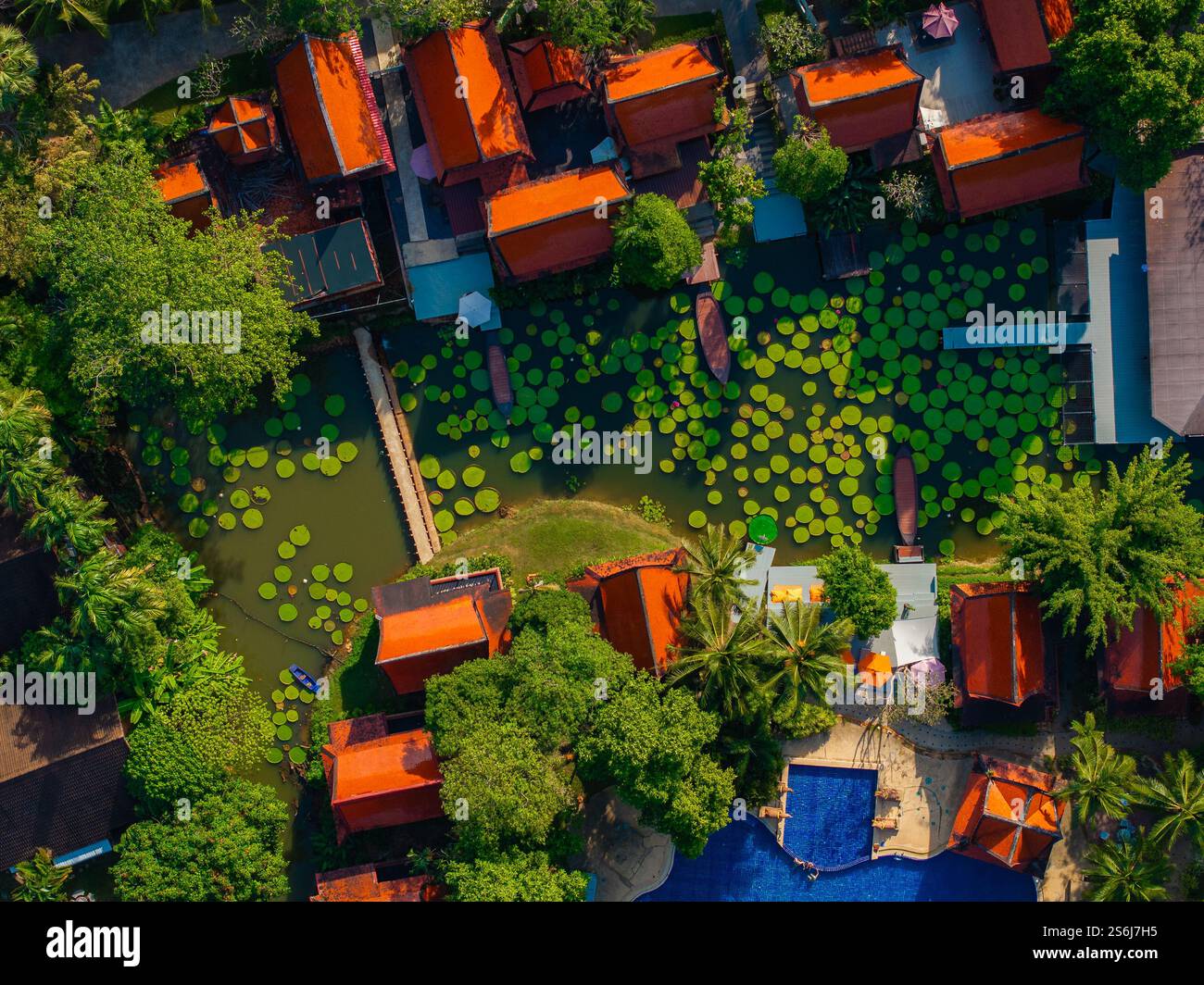 Aerial View of Lotus Pond and Thai Style Buildings in Phuket, Thailand ...