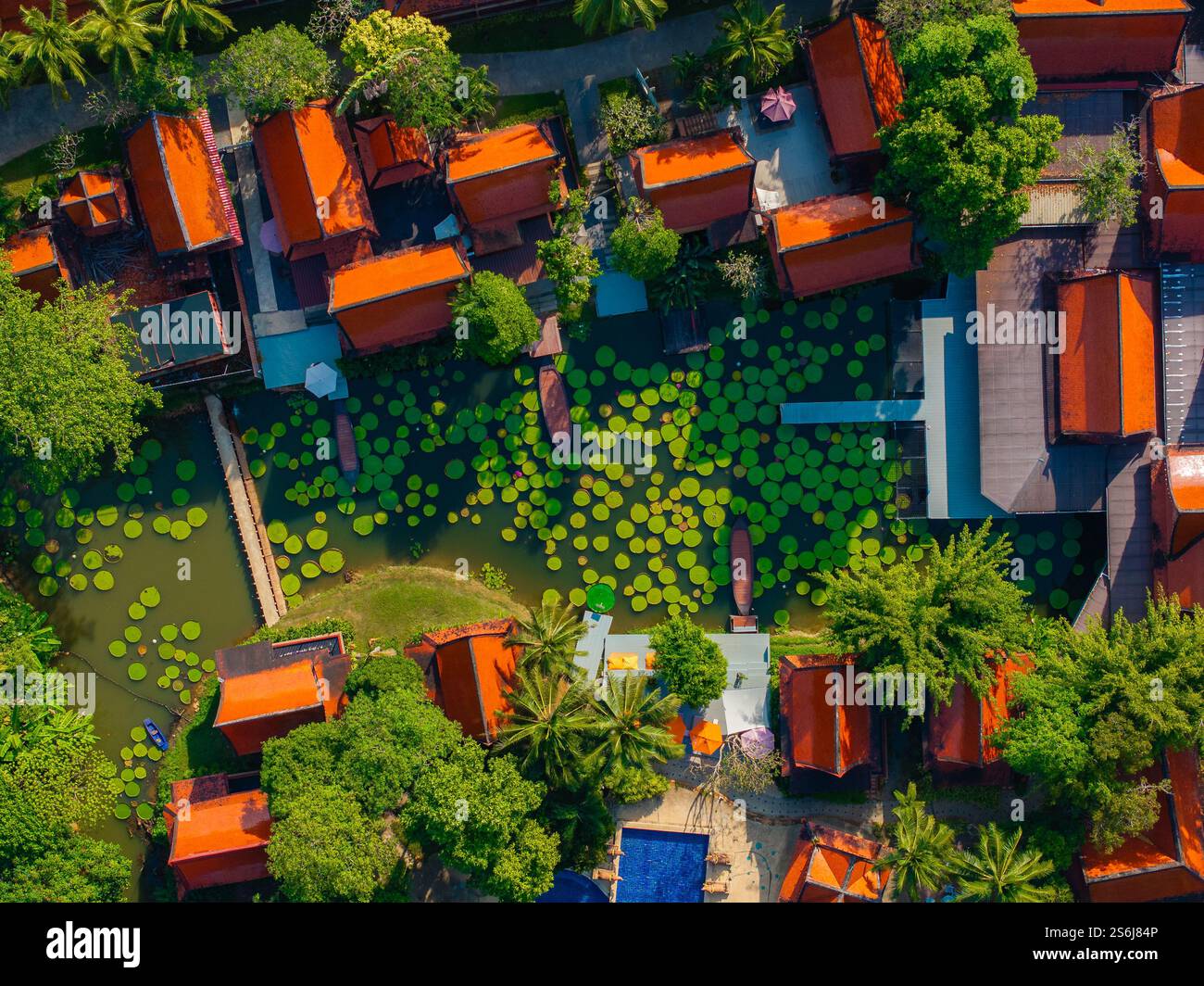Aerial View of Lotus Pond and Traditional Thai Buildings in Thailand ...