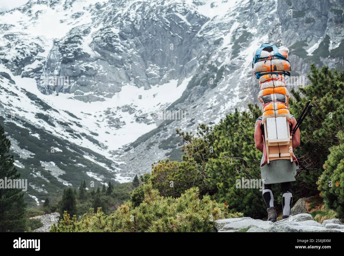 Strong man working as porter carrying huge cargo with traditional ...