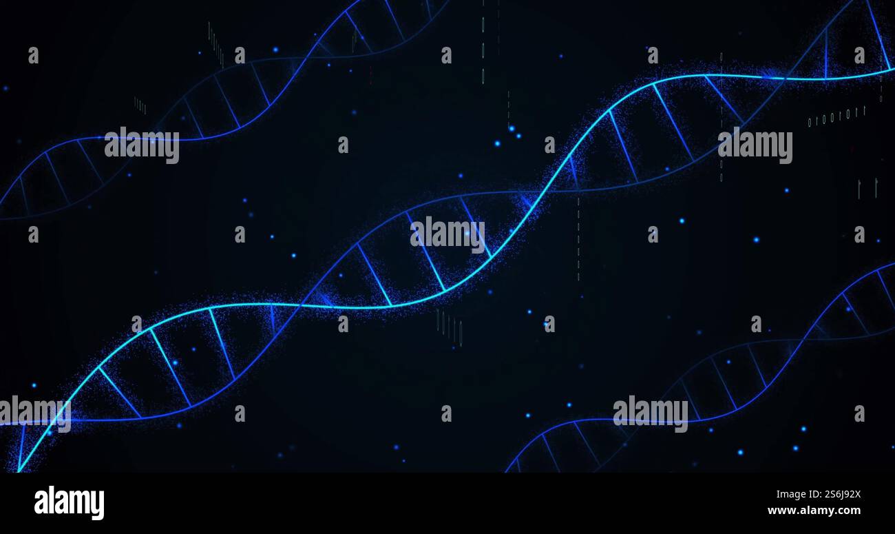 Image of dna strands and binary coding digital data processing Stock Photo - Alamy