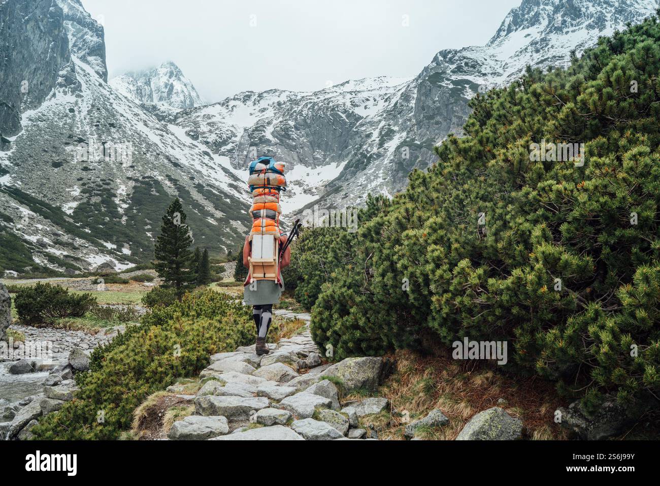 Strong man working as porter carrying huge cargo with traditional ...