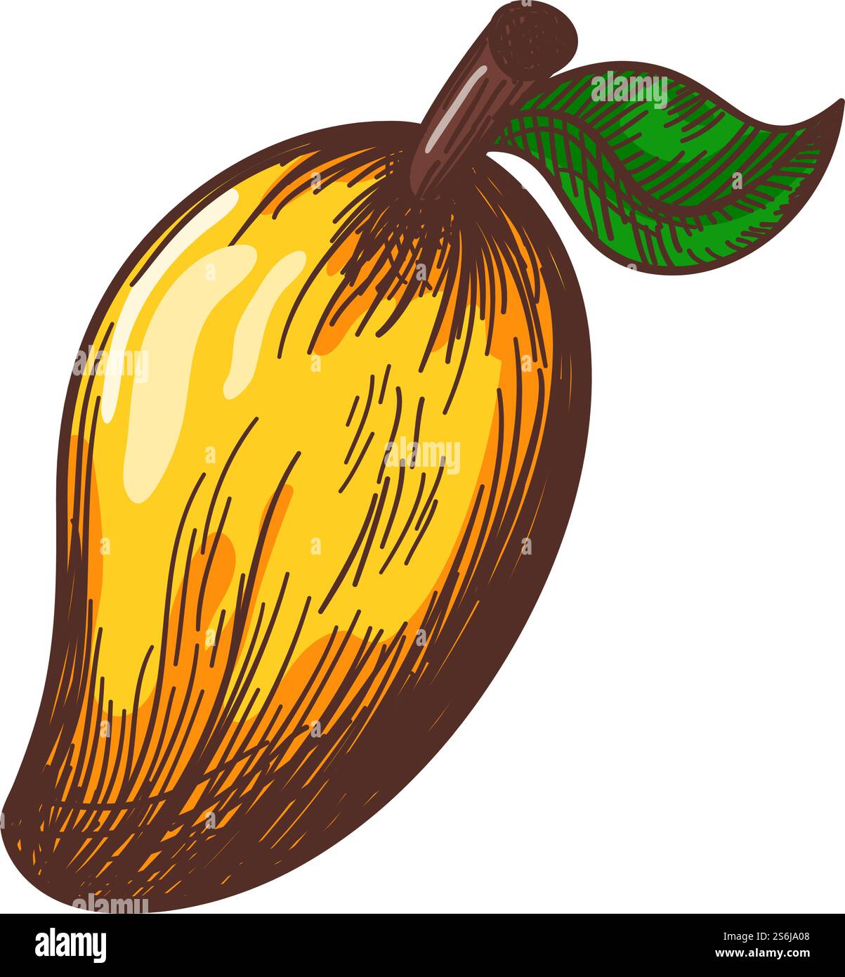 Icon Of Mango. Hand Drawn Sketch Design. Vector Illustration Stock ...
