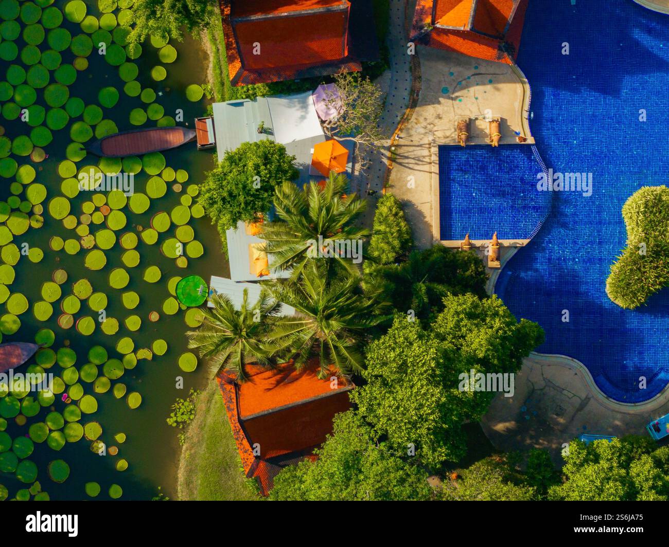 Aerial view of a deep blue swimming pool surrounded by greenery and ...