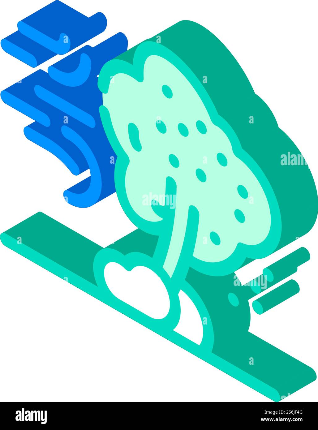 wind disaster isometric icon vector. wind disaster sign. isolated ...