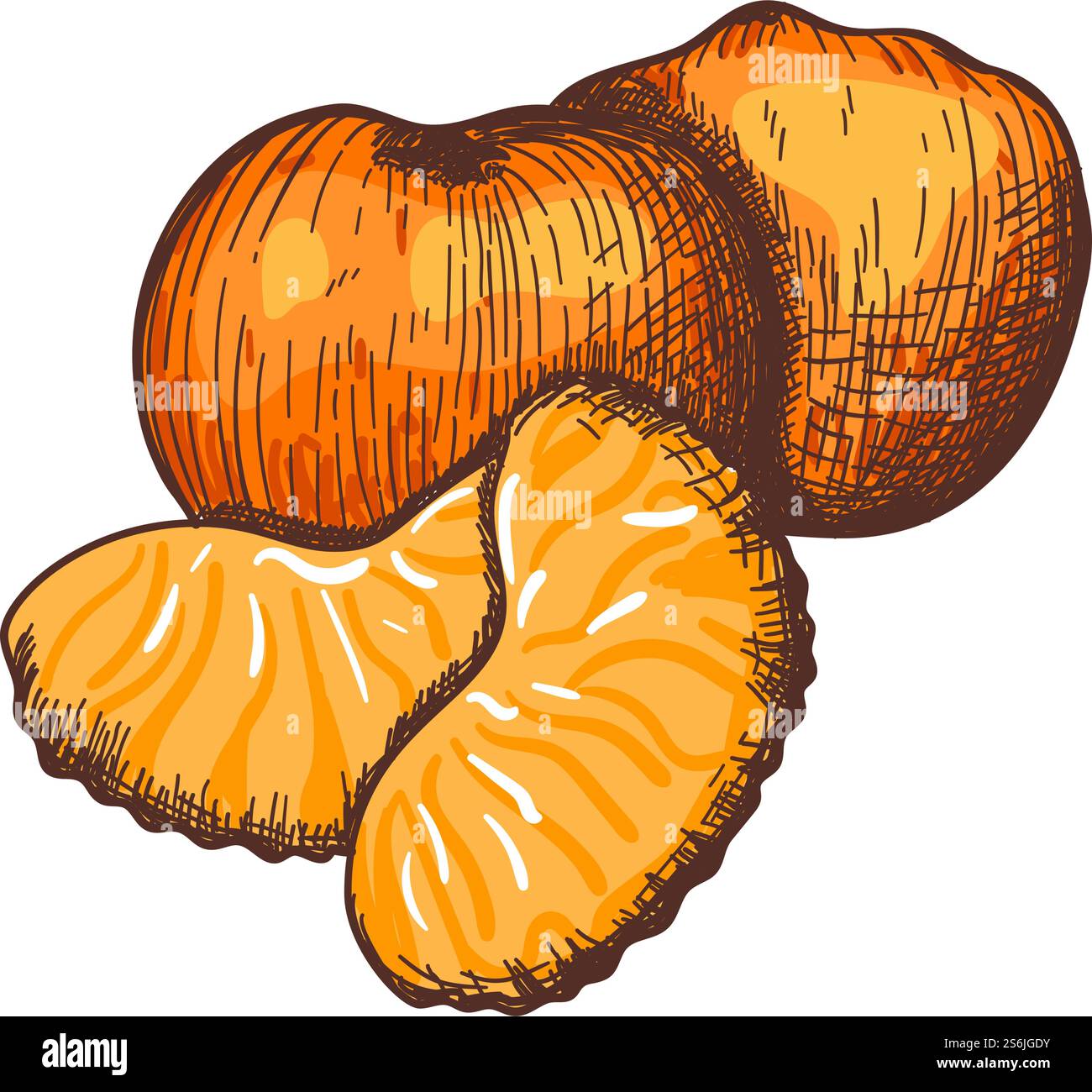 Icon Of Mandarin. Hand Drawn Sketch Design. Vector Illustration Stock ...