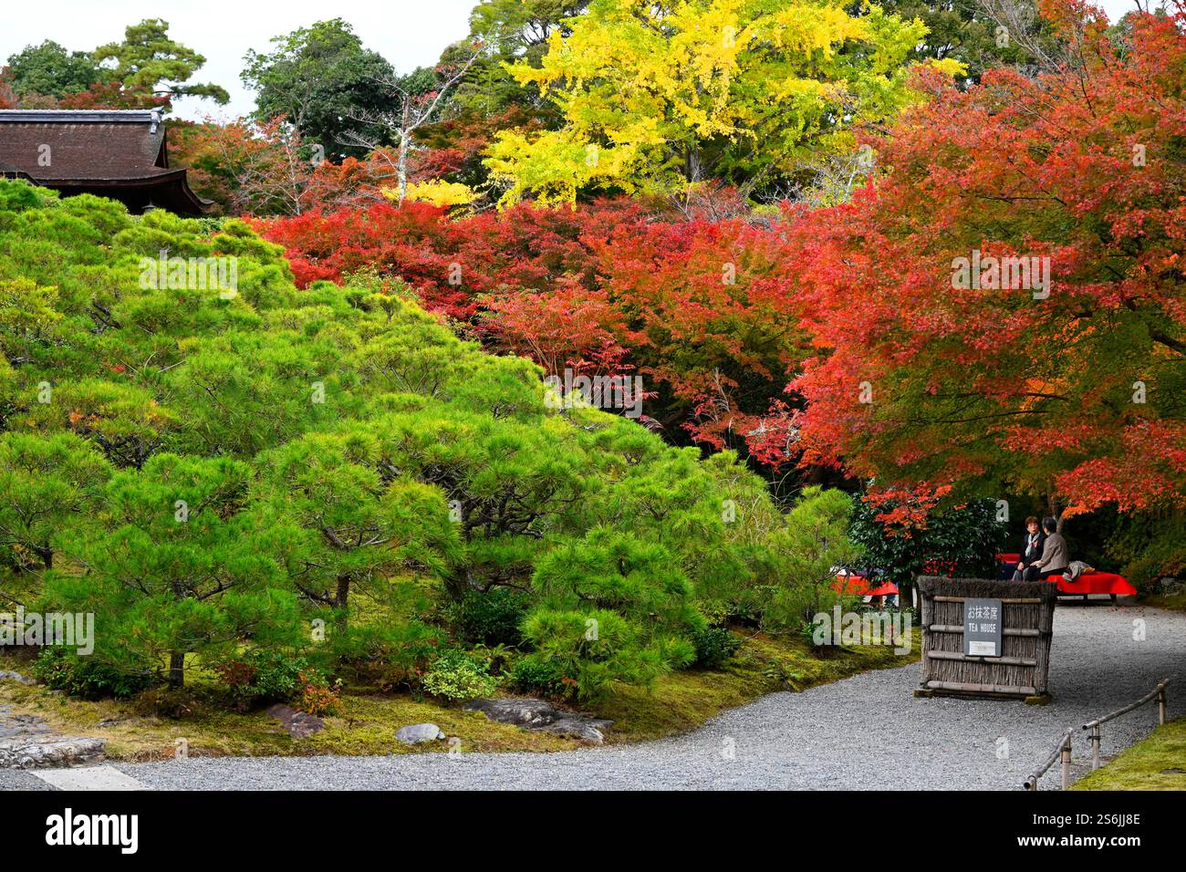 Okochi Sanso garden,Arashiyama,Kyoto,Japan Stock Photo - Alamy
