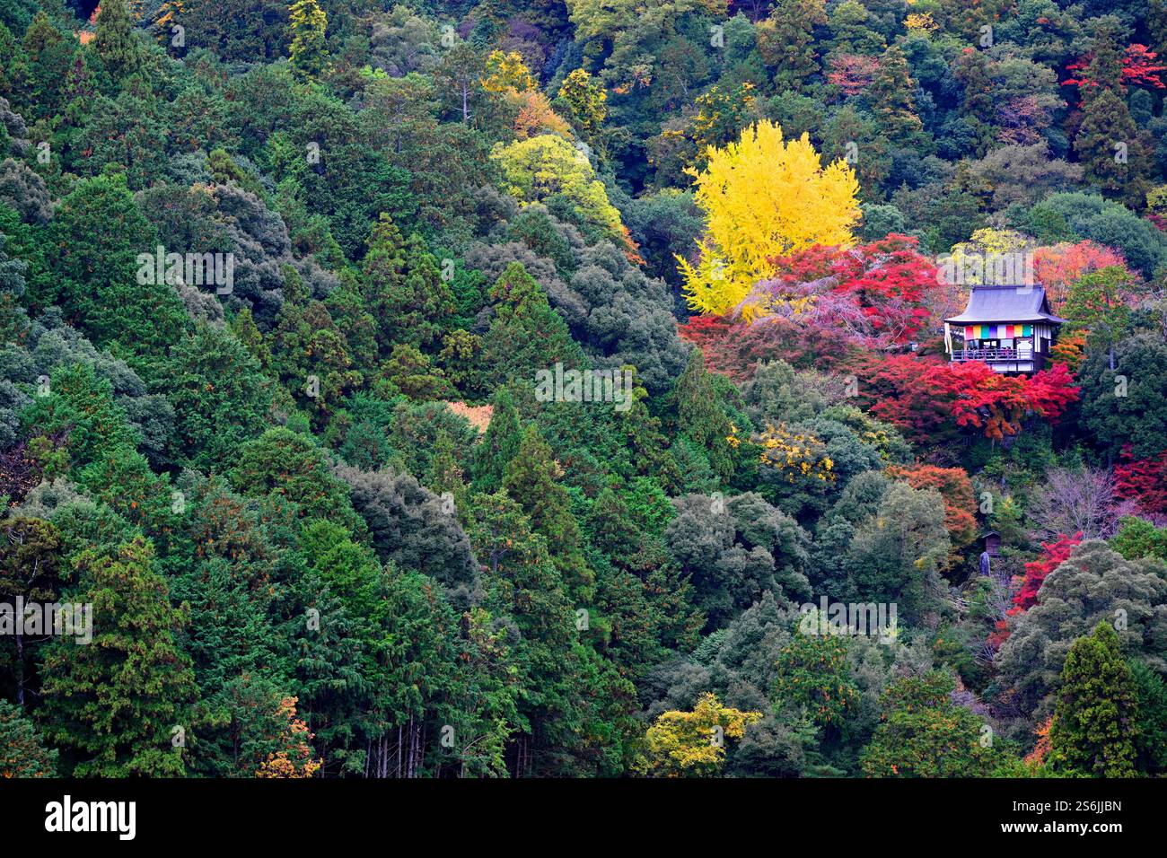 Okochi Sanso garden,Arashiyama,Kyoto,Japan Stock Photo - Alamy