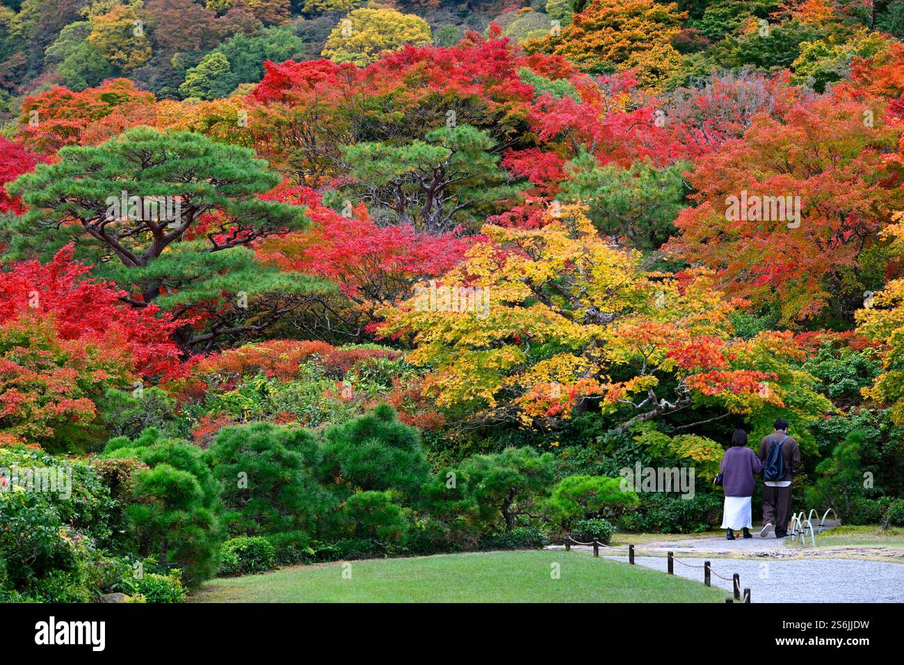 Okochi Sanso garden,Arashiyama,Kyoto,Japan Stock Photo - Alamy