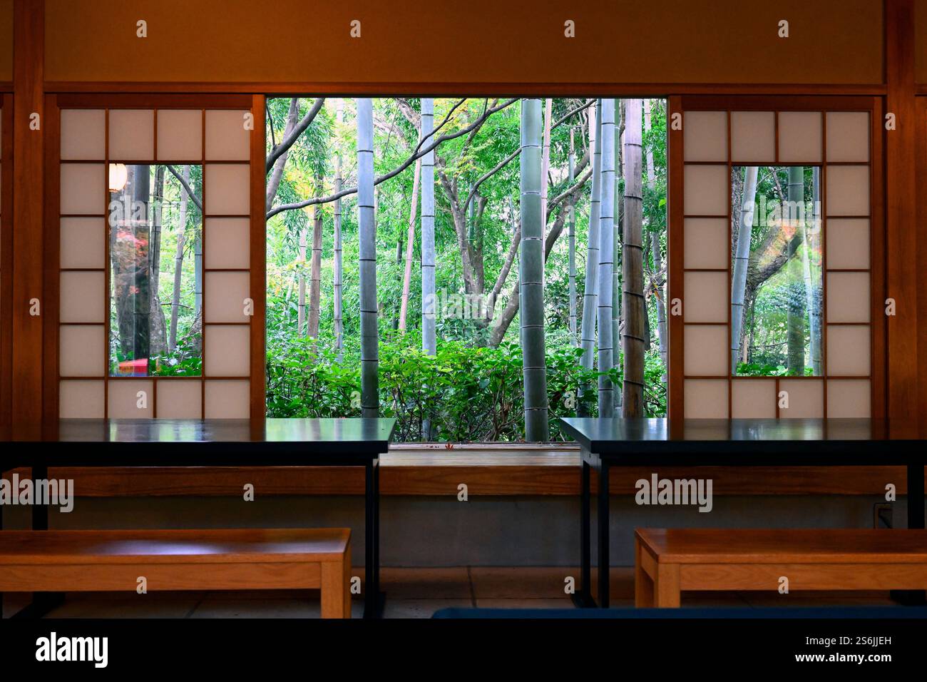 Okochi Sanso garden,Arashiyama,Kyoto,Japan Stock Photo - Alamy
