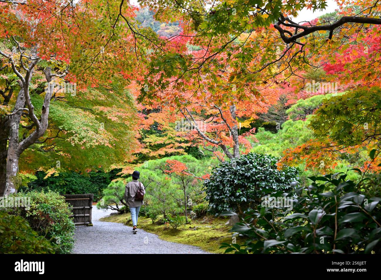 Okochi Sanso garden,Arashiyama,Kyoto,Japan Stock Photo - Alamy