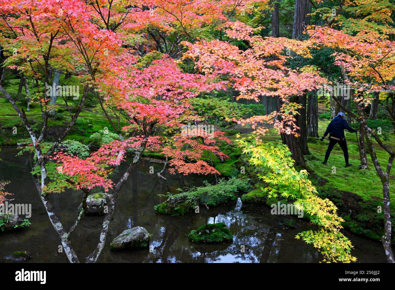 Saiho-ji zen temple,Koke-dera,the Moss Temple, Kyoto, Japan Stock Photo ...