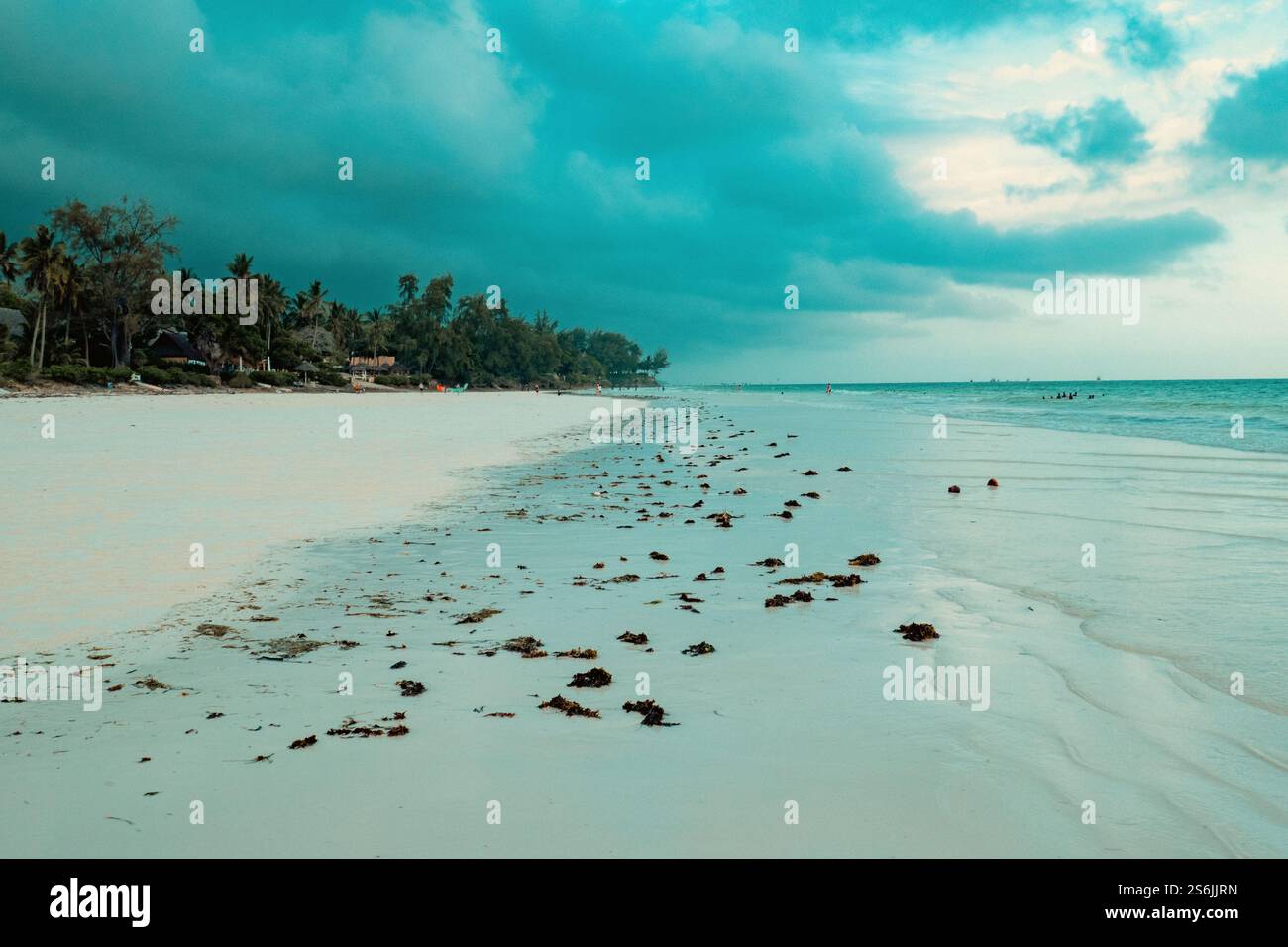 Scenic view of Diani Beach at the evening in Kenya Stock Photo - Alamy