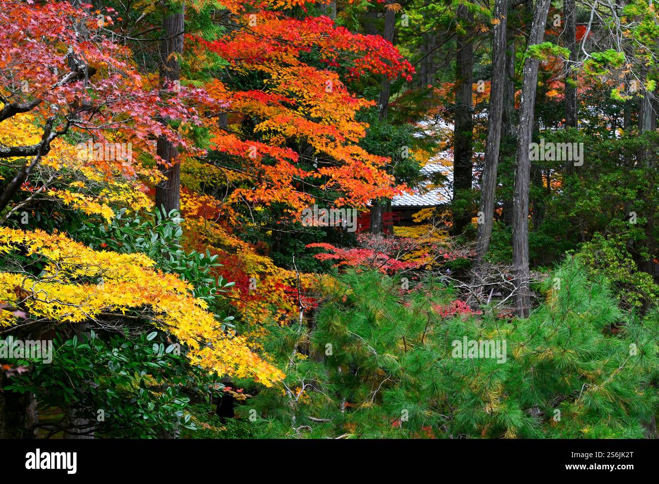 Saiho-ji zen temple,Koke-dera,the Moss Temple, Kyoto, Japan Stock Photo ...