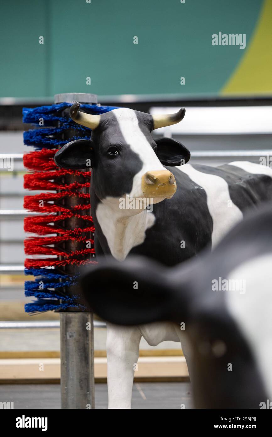 Berlin, Germany. 17th Jan, 2025. A dummy cow stands in an enclosure in ...