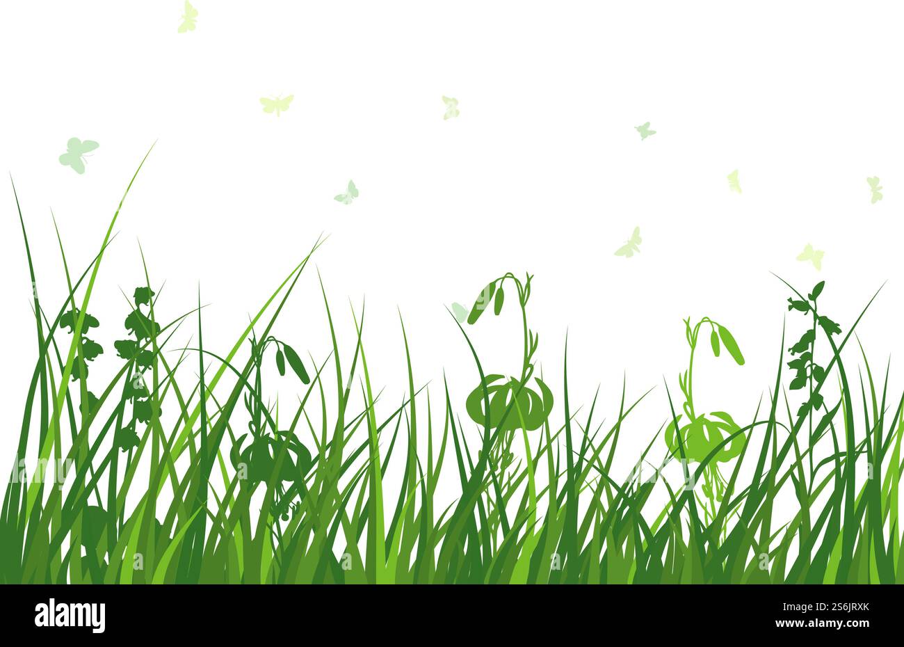 Green spring meadow grass. Fresh color plants, seasonal growth grass ...