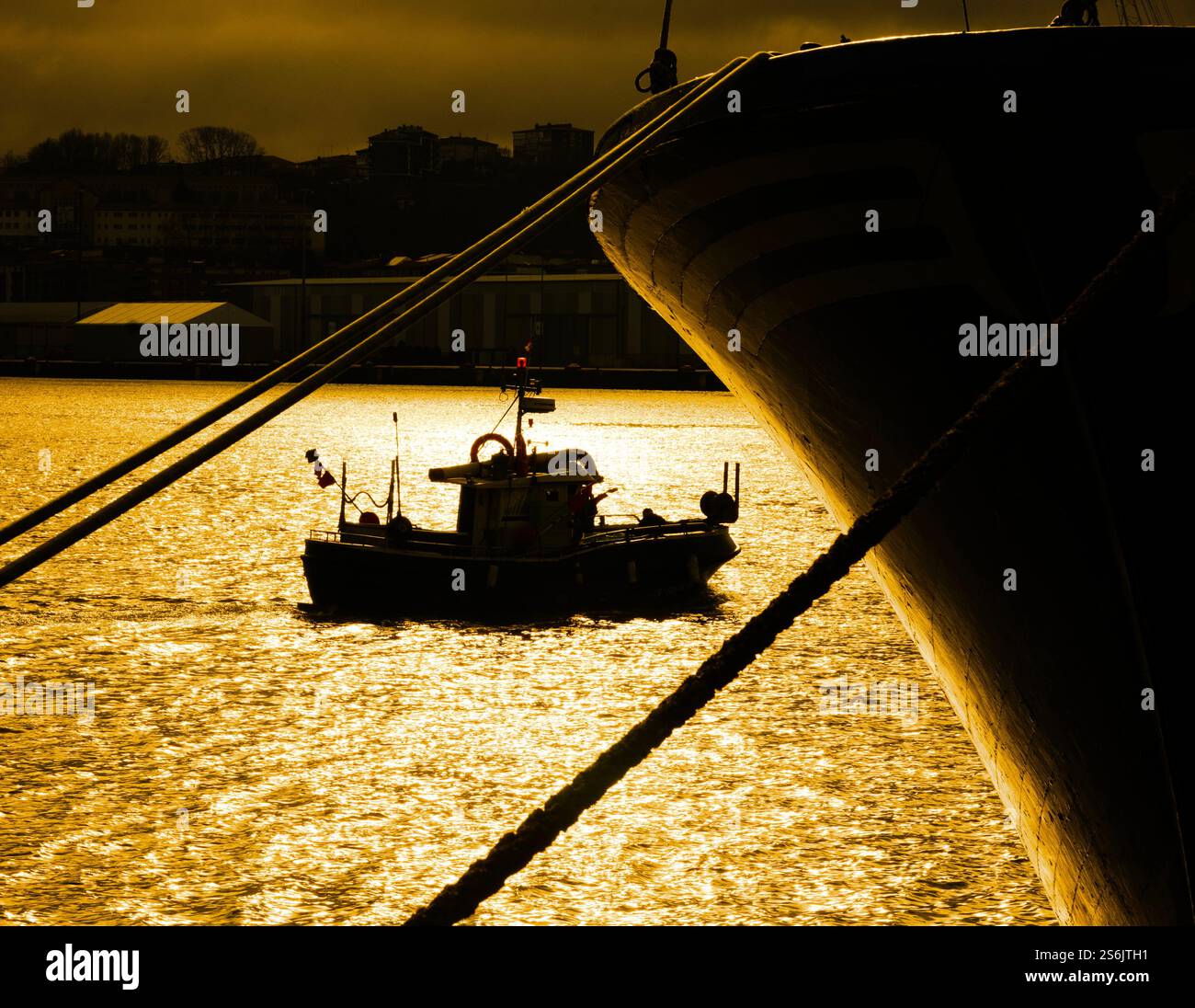 Cargo ship sails on sunset hi-res stock photography and images - Alamy