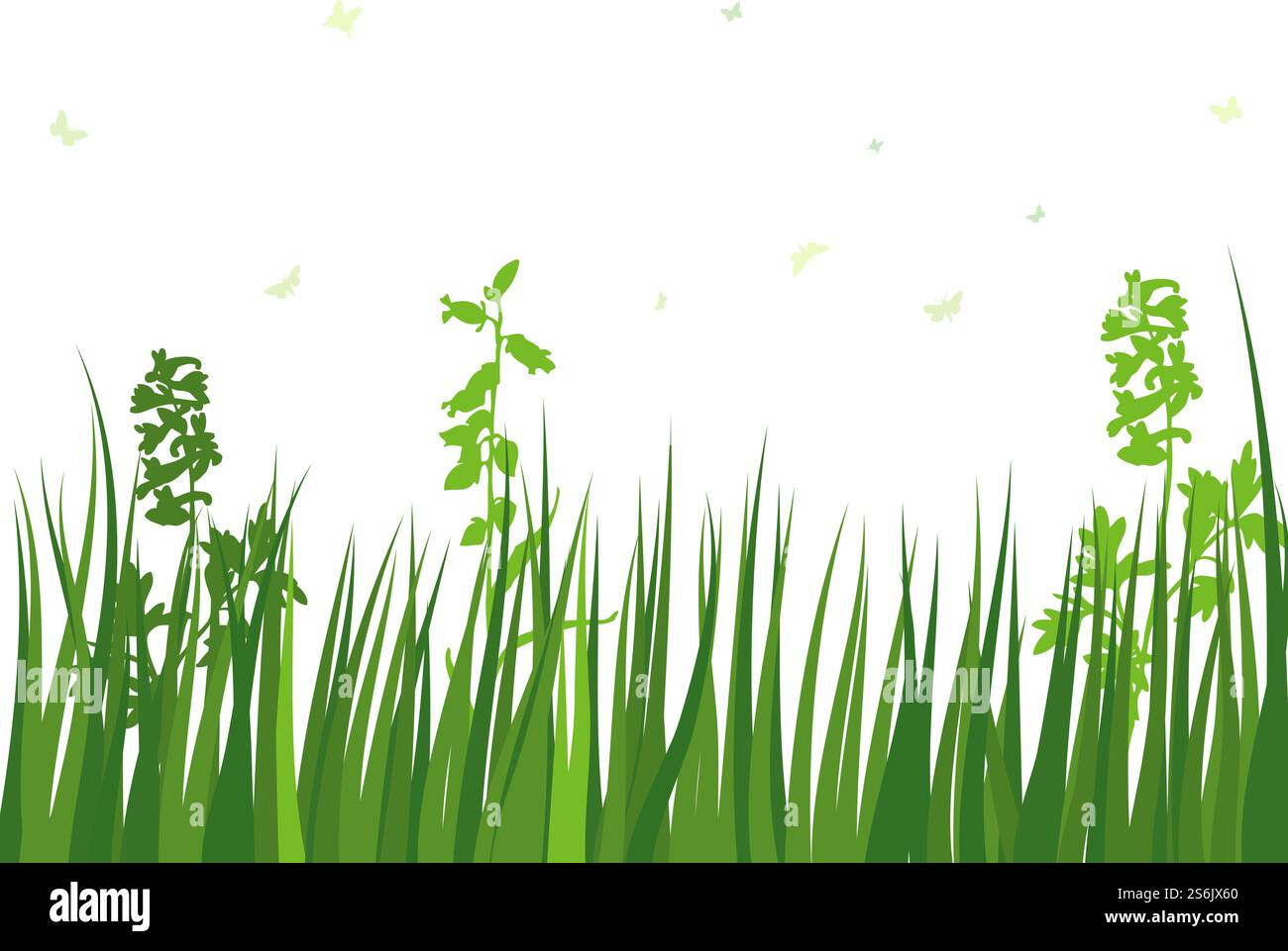 Green spring meadow grass. Fresh color plants, seasonal growth grass, separated botanical ...