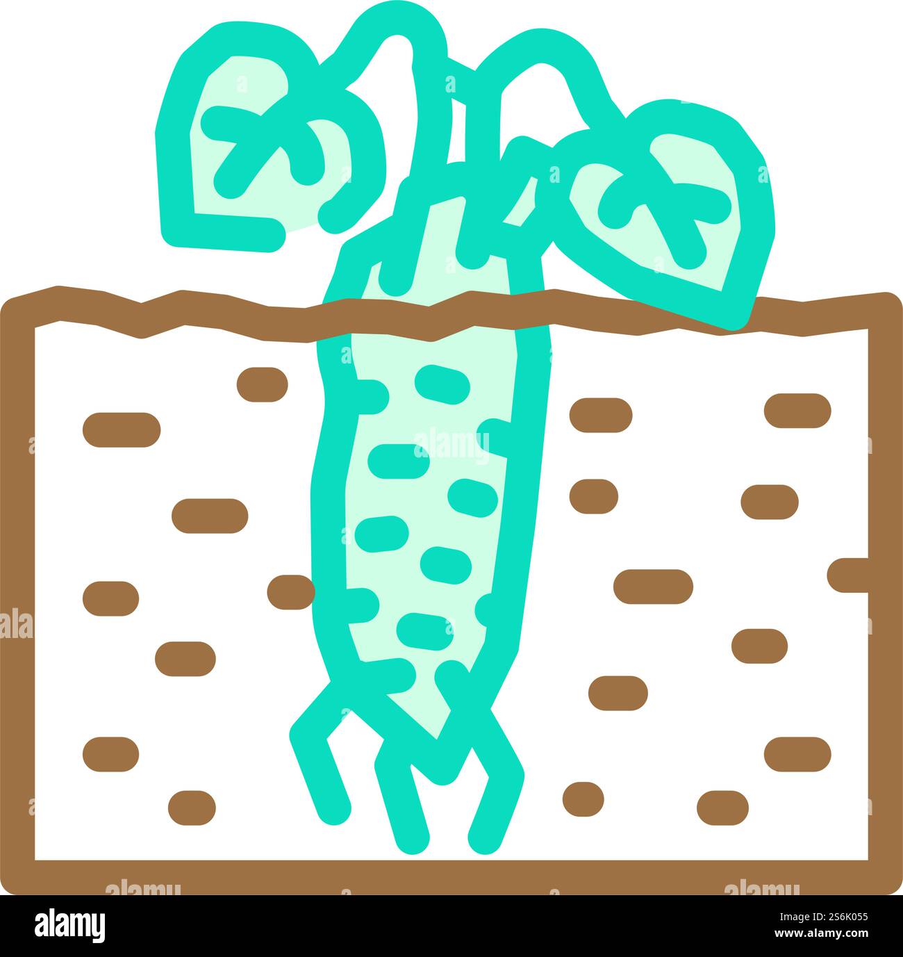 root plant wasabi color icon vector. root plant wasabi sign. isolated ...