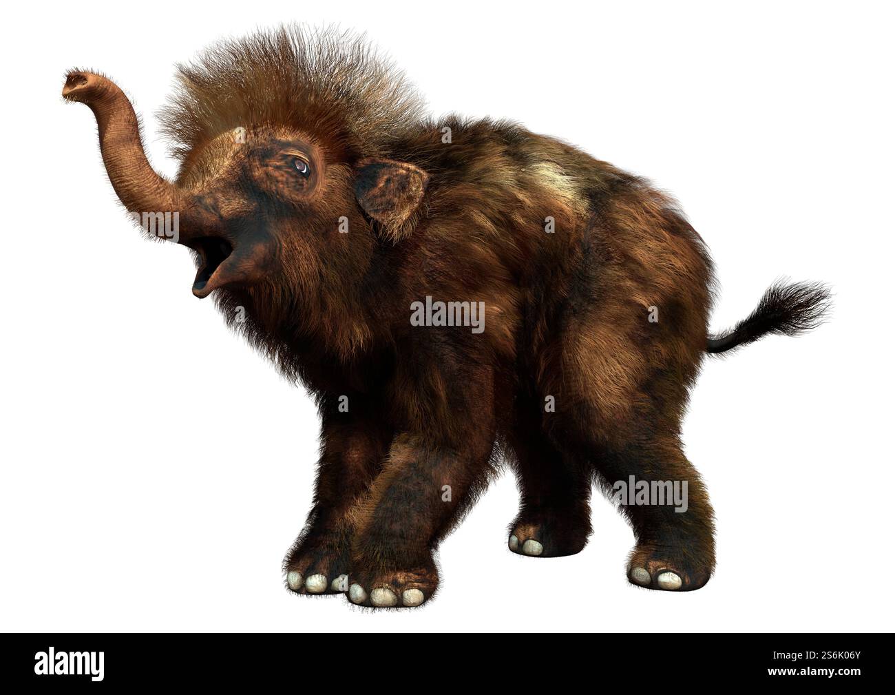 3D rendering of a woolly mammoth baby isolated on white background ...