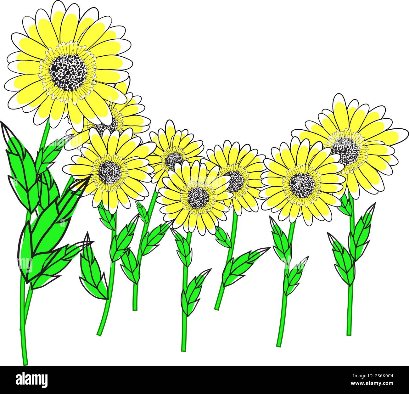 Doodle sketch sunflower with color fill. Simple design suitable for ...