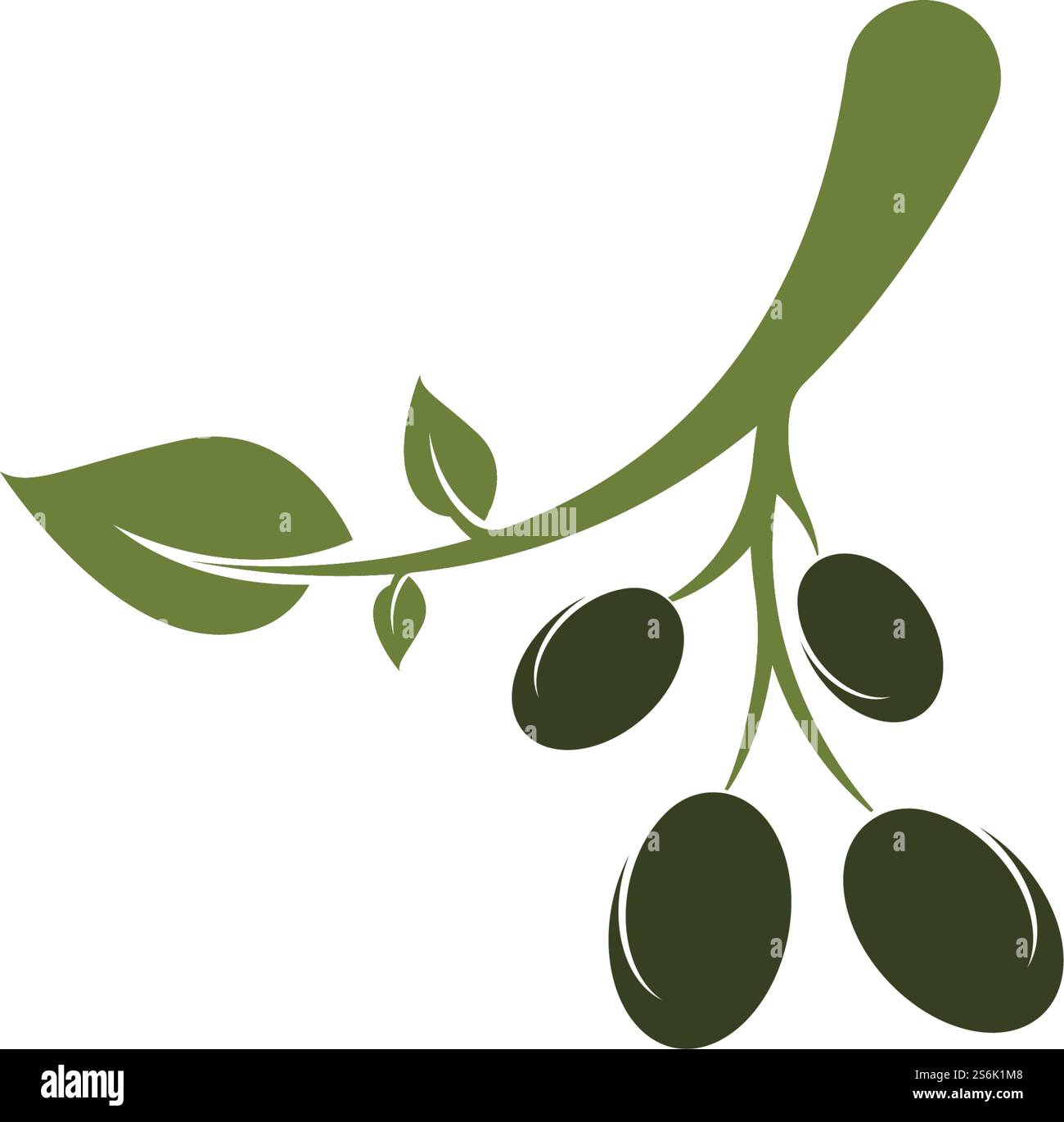 Olive branch logo hi-res stock photography and images - Alamy