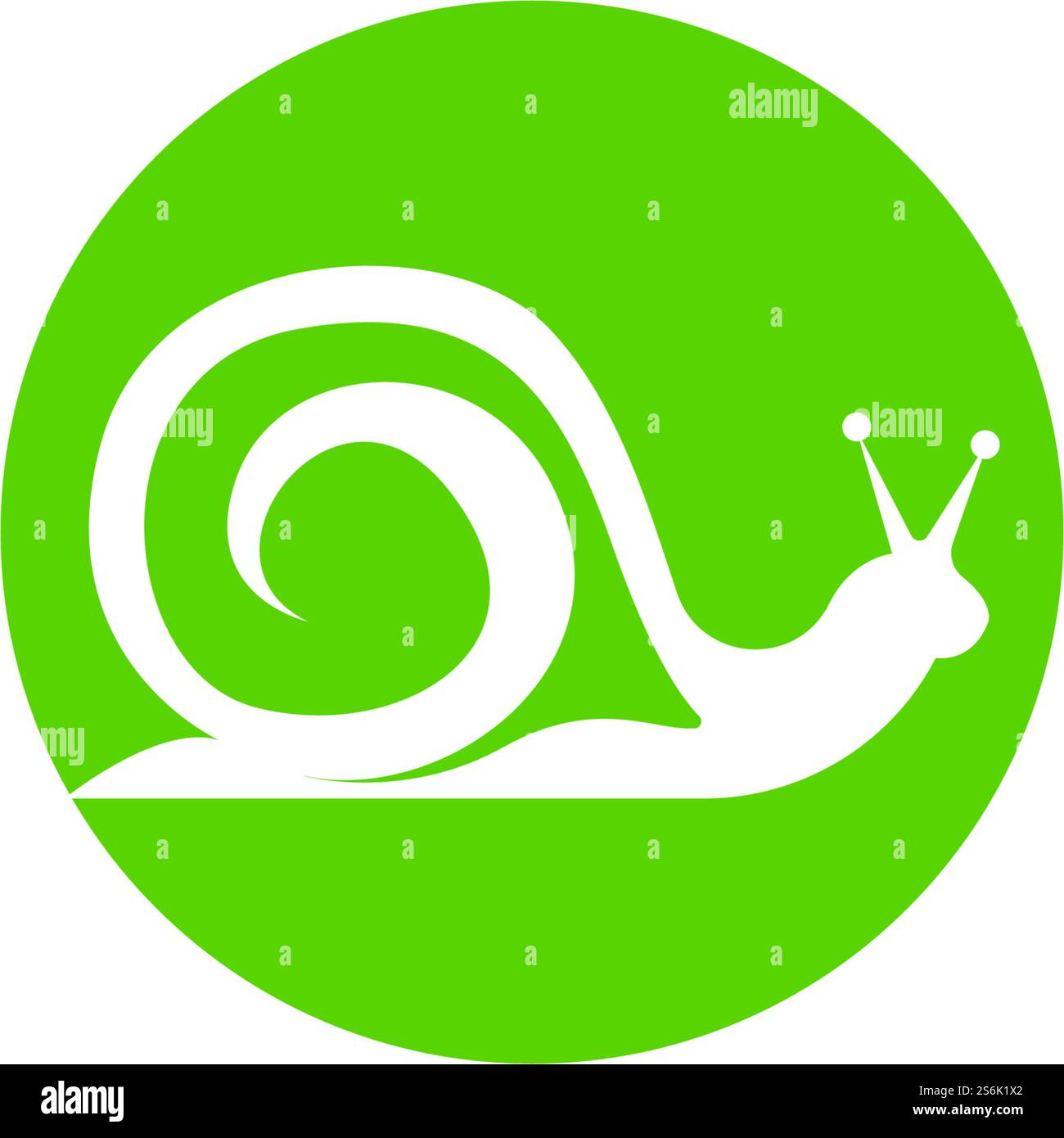 Closeup small snail shell Stock Vector Images - Alamy