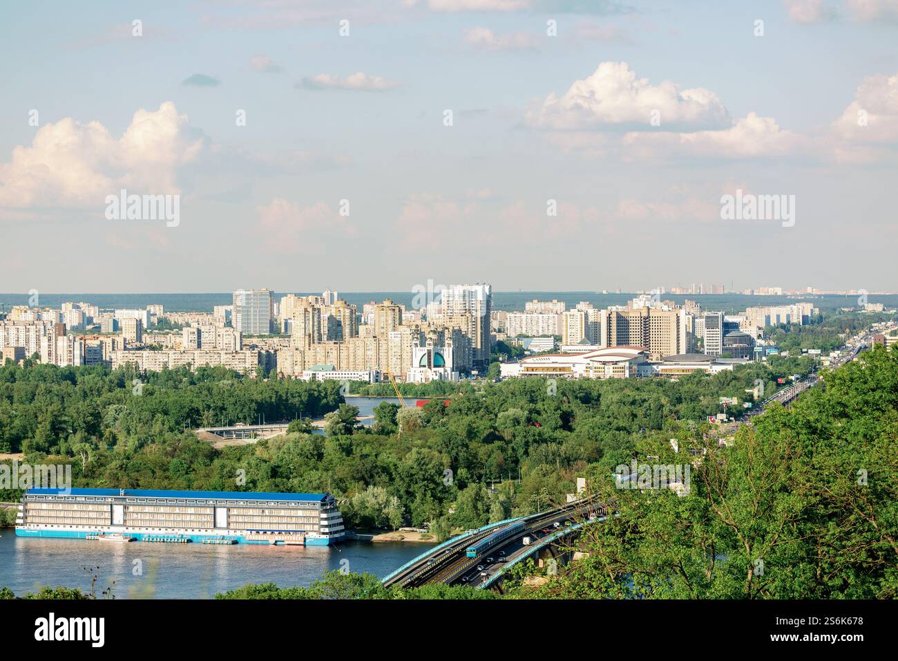 Concentrated young lady in casual clothes sitting on a wooden bench ...